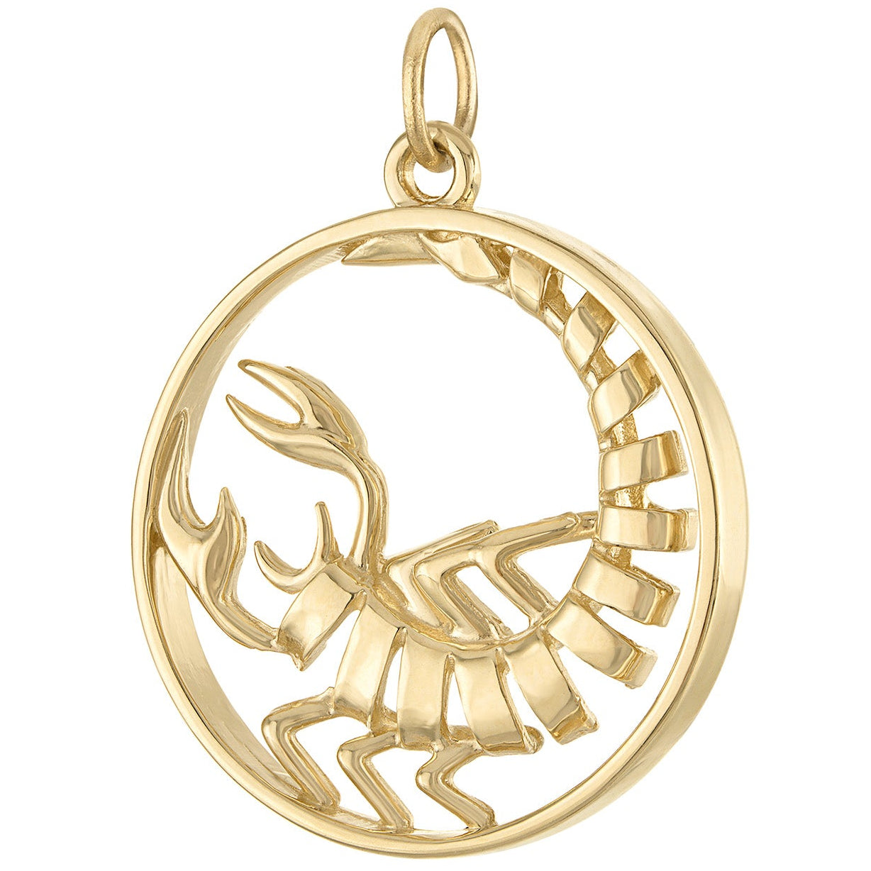 Larger Scorpio "The Scorpion" | Charmco | 14k Solid Gold Charms